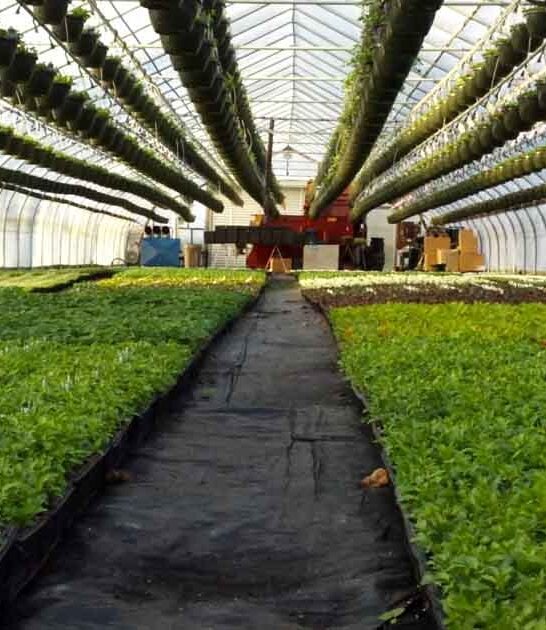 must visit farm connecticut ftr