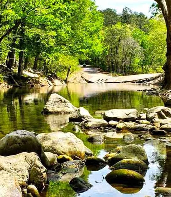 mystery alabama state park ftr