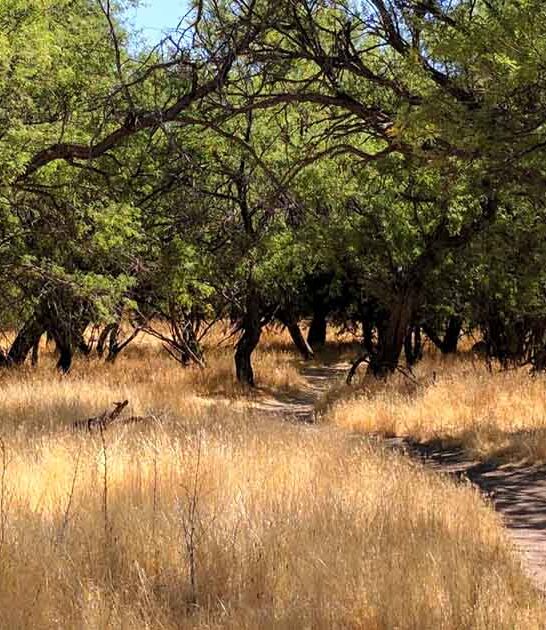 national park arizona spot ftr
