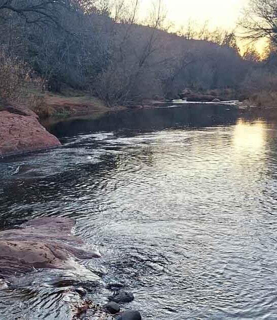 natural pool arizona paradise ftr
