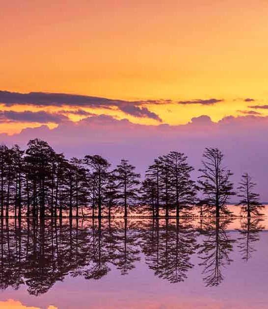 nature gems north carolina ftr