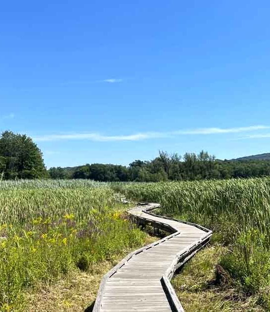 new jersey appalachian trail ftr