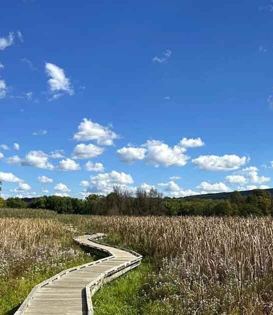 new jersey hiking trail ftr