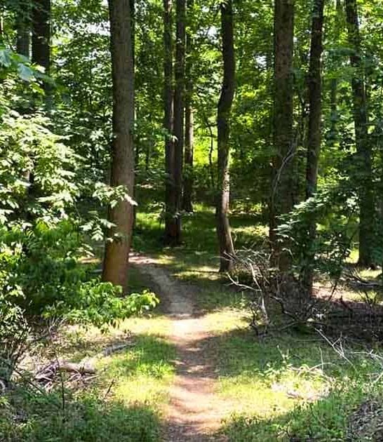 new jersey incredible park ftr