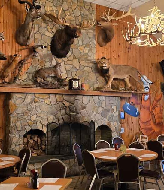 new jersey legendary taxidermy ftr