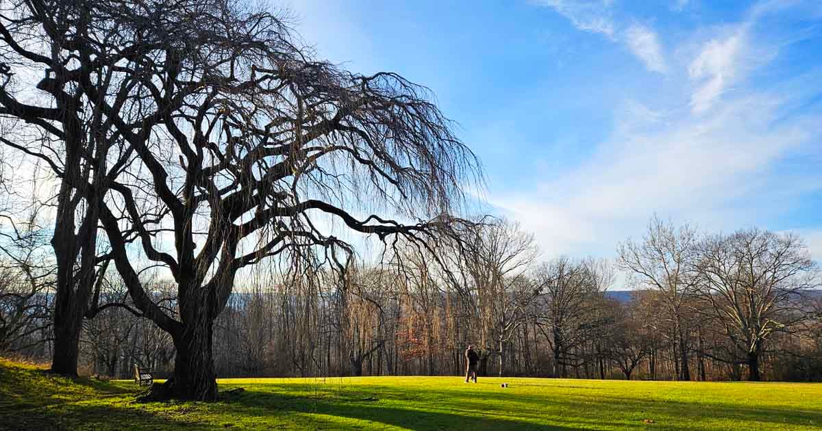 The Majestic New Jersey Park That Belongs On Every Bucket List