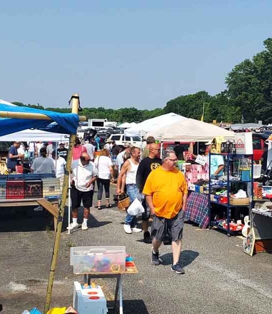 new jersey market mind ftr