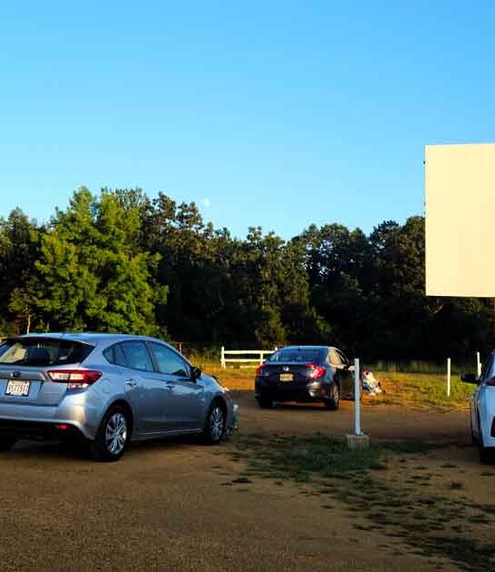 new jersey outdoor movies ftr