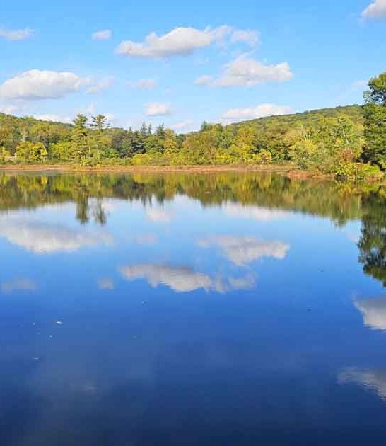 new jersey park discover ftr
