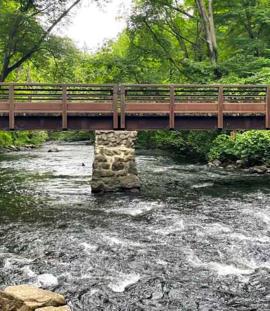 new jersey park underrated ftr