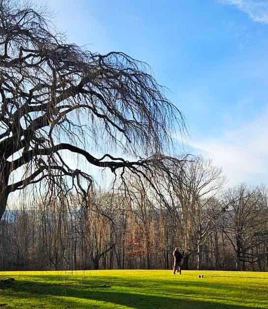 new jersey stunning spot ftr