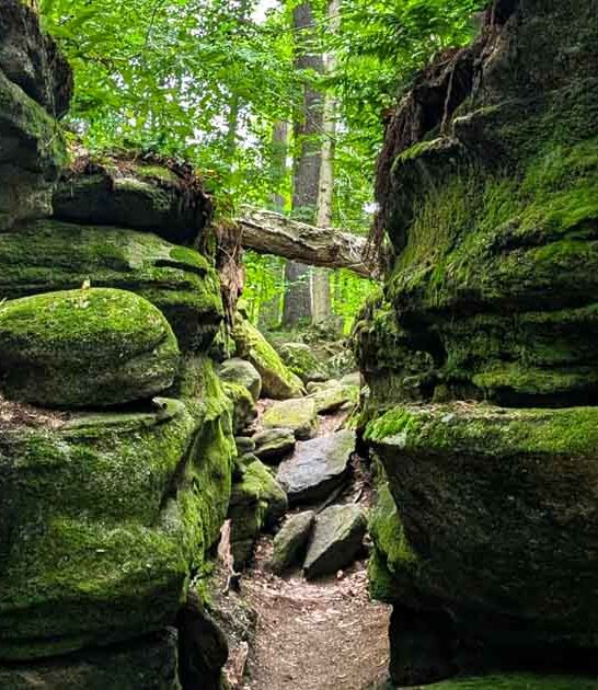 new york location park ftr