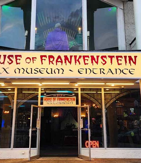 new york museums experience ftr