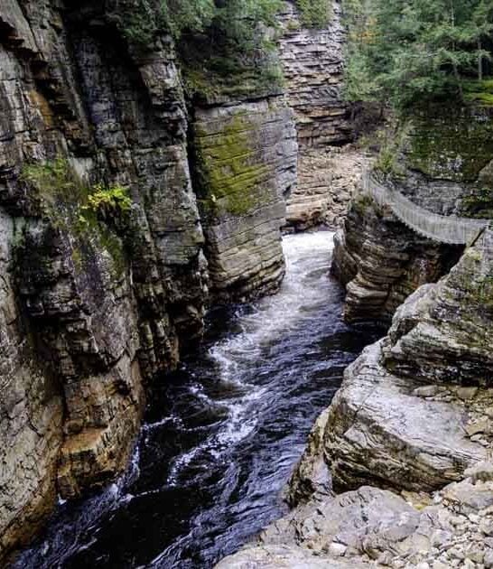 new york natural canyon ftr