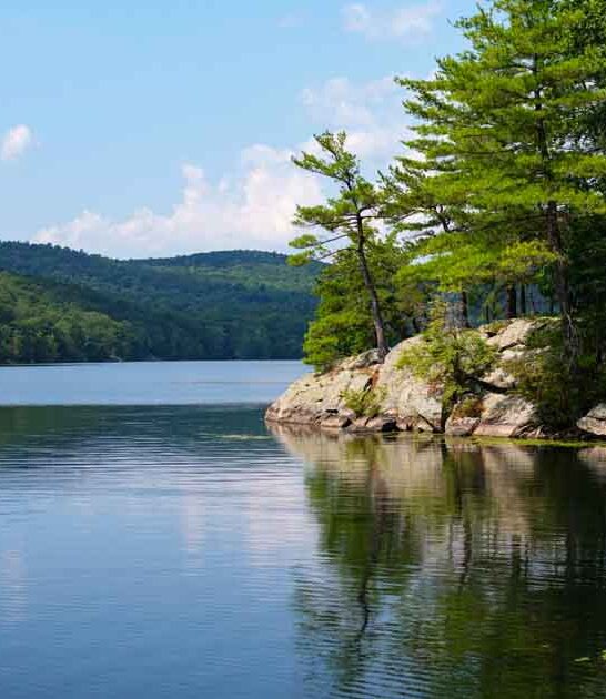 new york park radar ftr