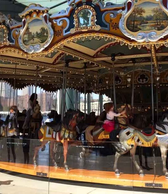 new york waterfront carousel ftr