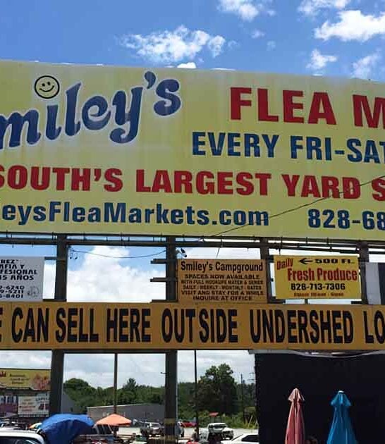 north carolina flea adventure ftr