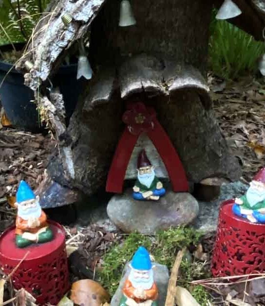 north carolina gnome garden ftr