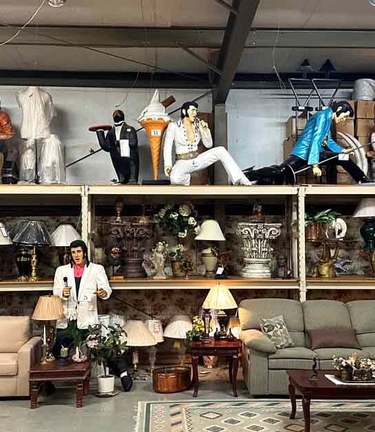 novelty store wisconsin ftr