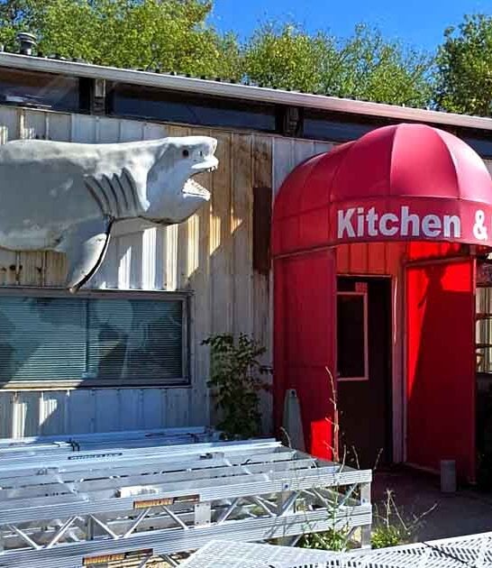 oddities shop wisconsin ftr