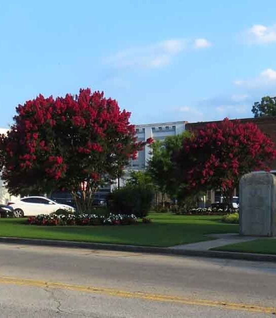 one town south carolina ftr