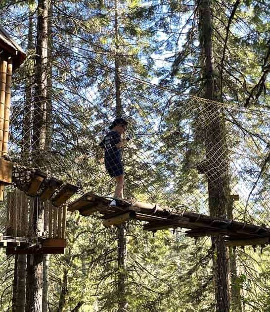 oregon treetop canopy walk ftr
