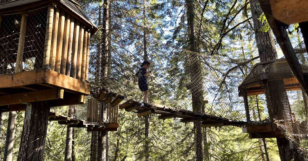 Walk Among The Treetops On This Unforgettable Canopy Walk In Oregon