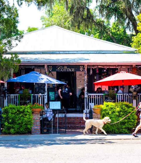 outdoor cafe south carolina ftr
