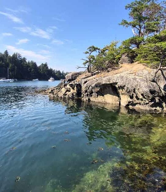 overlooked washington state park ftr