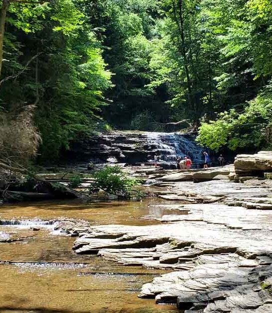 pack pennsylvania state park ftr