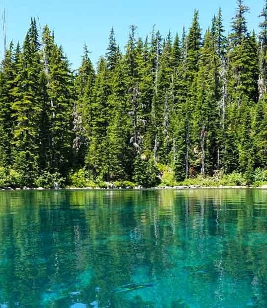 paradise crystal lake oregon ftr