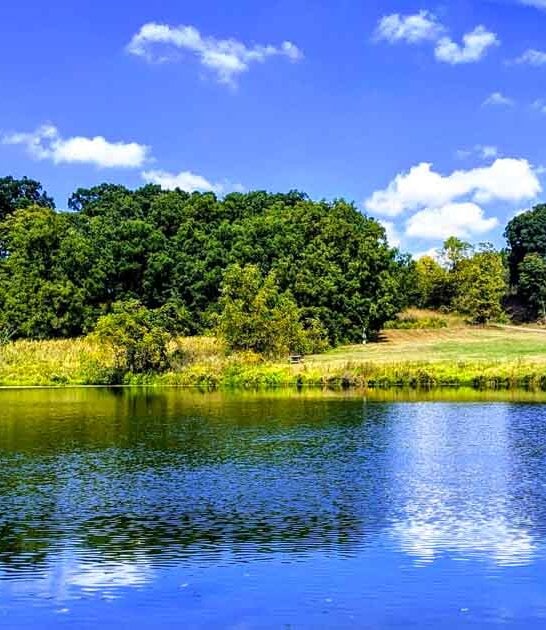 park native village indiana ftr