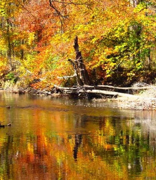 park pennsylvania fishing kayaking ftr