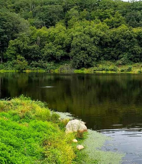 peaceful new york park ftr