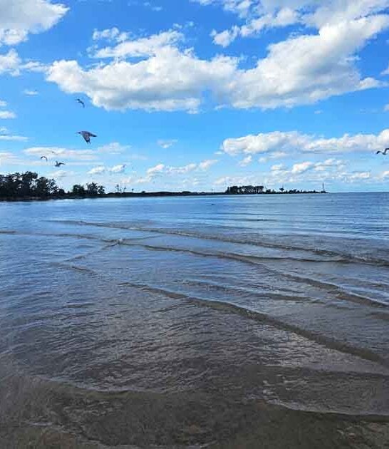 peaceful ohio waterfront escape ftr