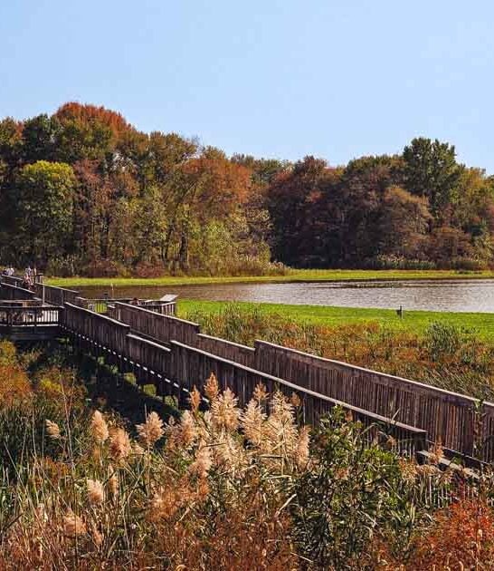 pennsylvania charming wildlife refuge ftr