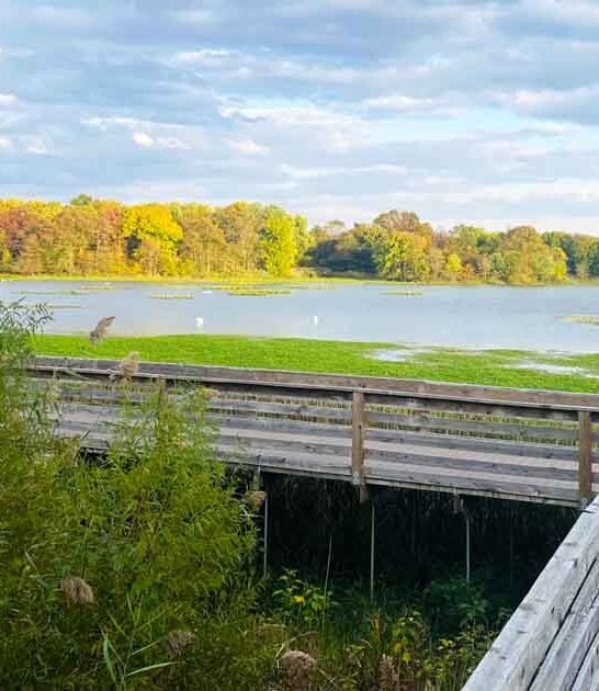 pennsylvania secret wildlife refuge ftr