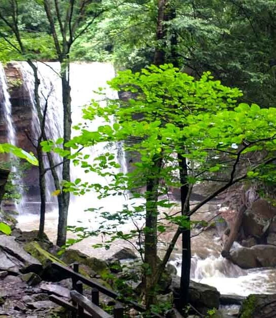 pennsylvania waterfall hike beautiful ftr