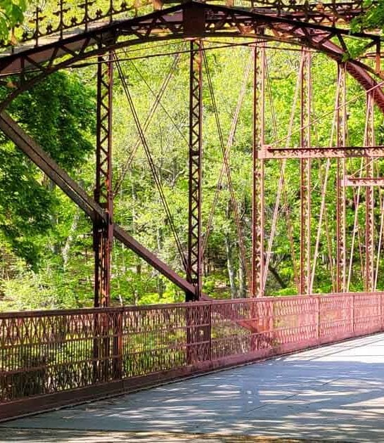 people connecticut park dog ftr