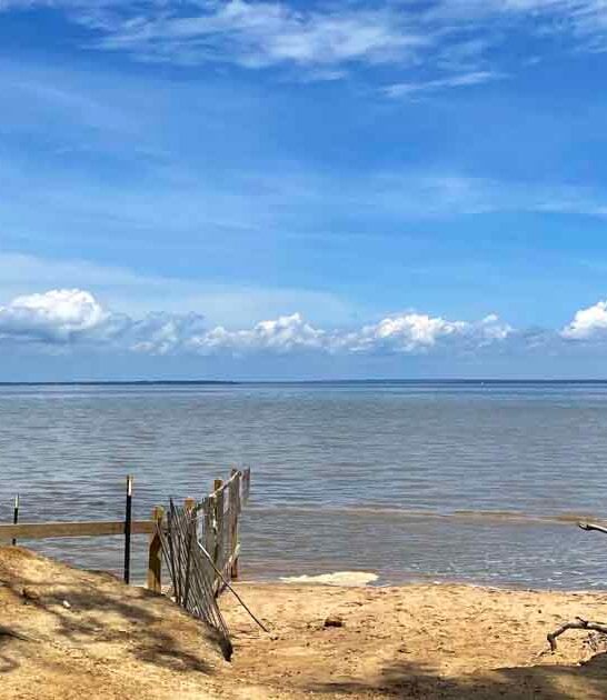 Dig For Prehistoric Treasures At This Unbelievable Fossil Beach In Virginia