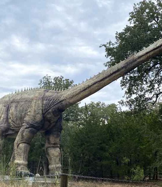 prehistoric themed park texas ftr