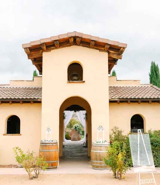quaint arizona winery vines ftr