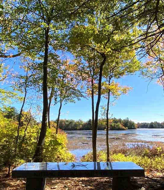 quiet pond trail massachusetts ftr