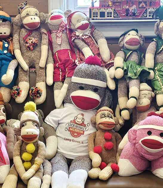 quirky sock monkey illinois ftr