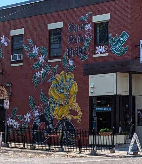 record shop cafe minnesota ftr