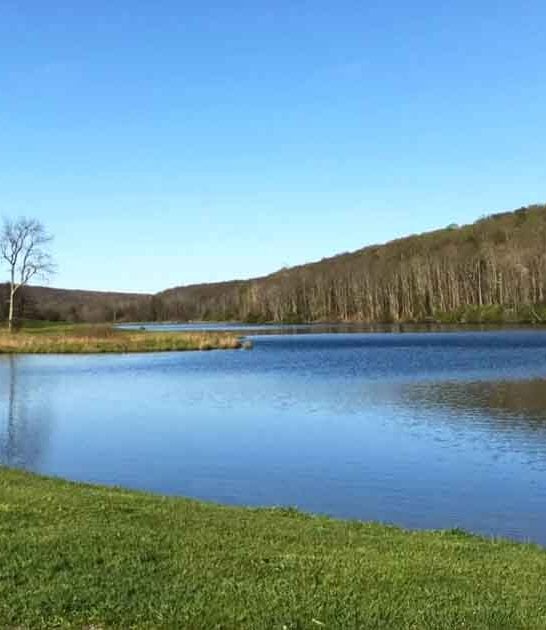 remote lake virginia camping ftr