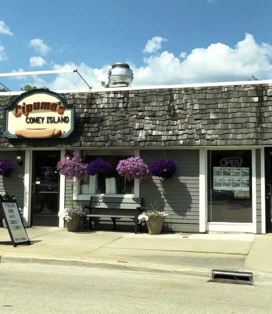 restaurant hot dog michigan ftr