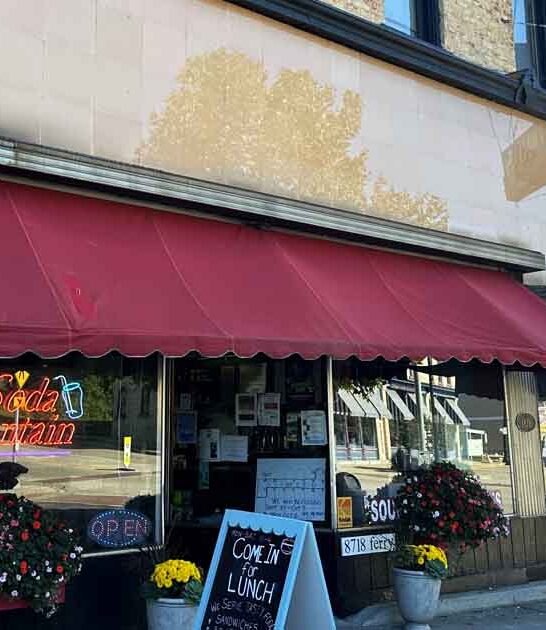 retro soda fountain michigan ftr