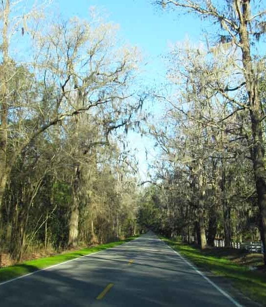 scenic byways south carolina ftr