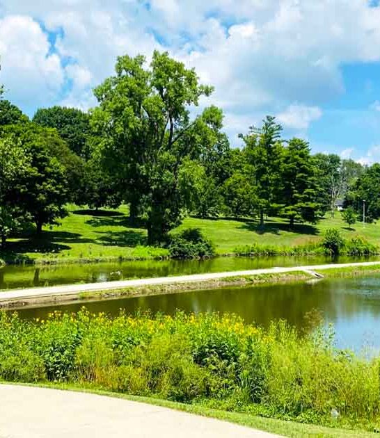 scenic garden illinois ftr